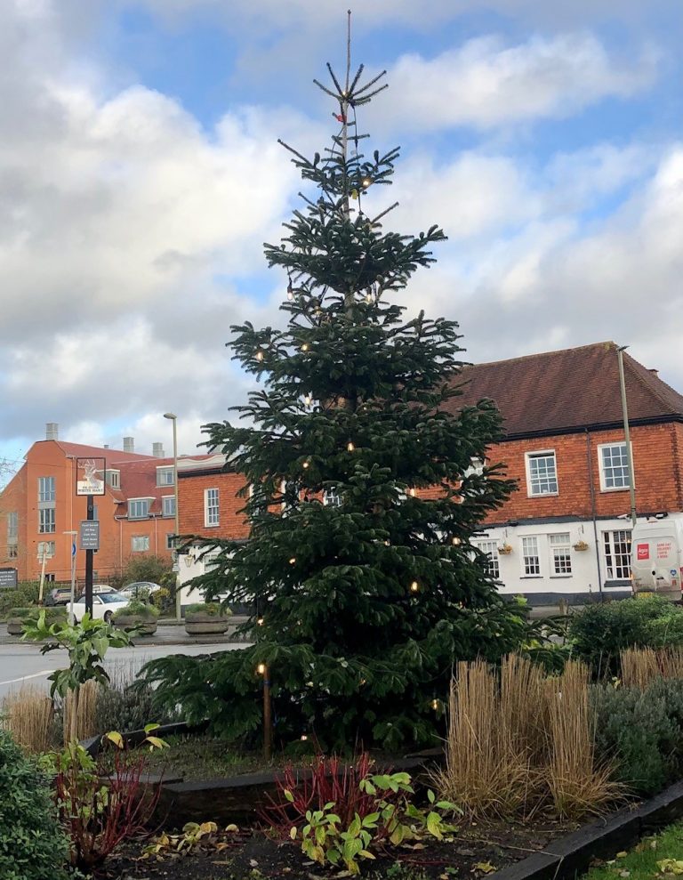 Sponsoring Frimley Community Christmas Tree - Luff & Wilkin | Property ...